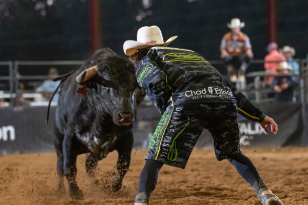 Ultimate Bull Fighting - Ocala Shrine Rodeo